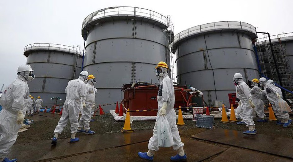 Alerta en Japón por la búsqueda del «gato radioactivo» tras contacto ...